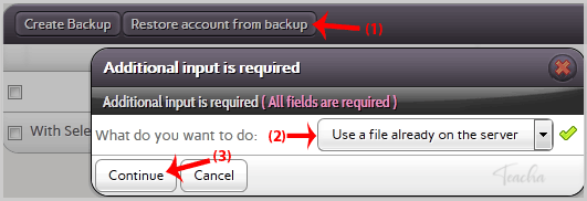How to Restore Partial backup in SiteWorx? - Lab Creative